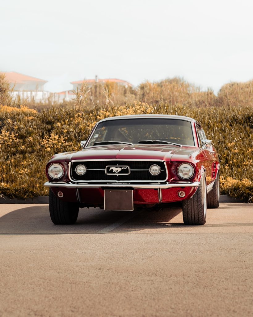 Mengulik Pizza Deli n’Co: Perpaduan Italia dan Sentuhan Lokal – Deli n ...